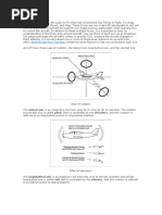 Aircraft Axes: Roll, Pitch, Yaw Explained | PDF | Flight Control ...