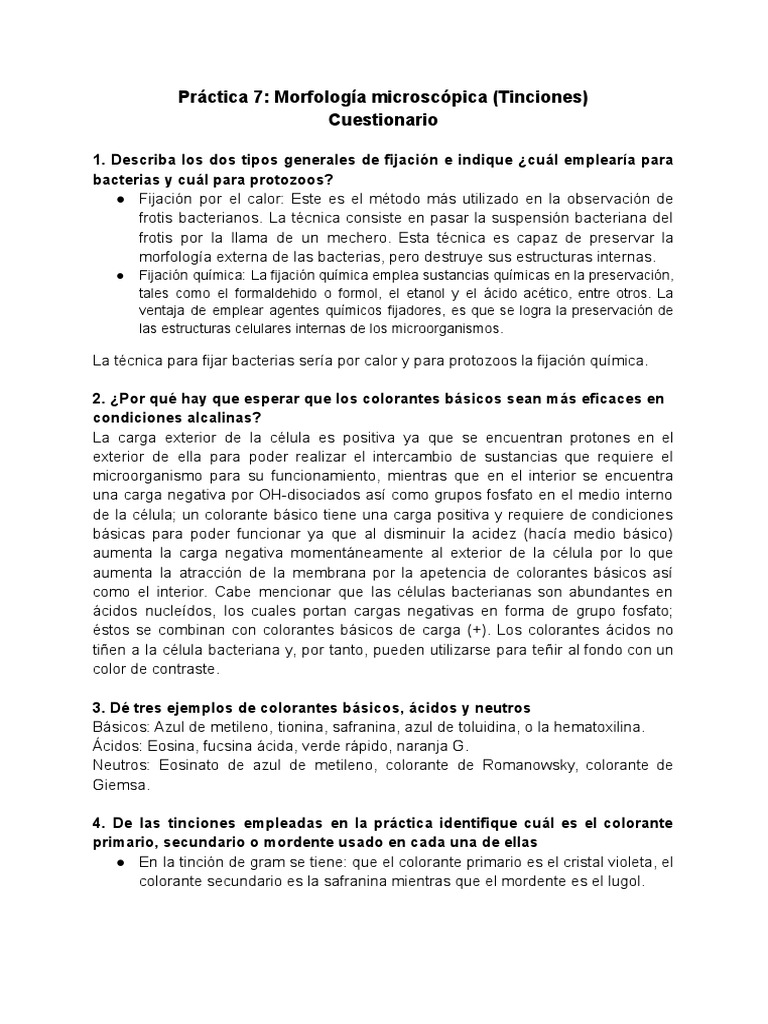 Cuestionario Practica 7 Morfología Microscópica (Tinciones) | PDF | Tinción | Las bacterias