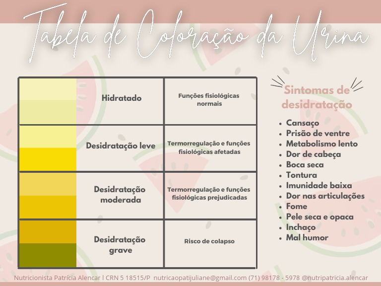 Tabela De Coloração Da Urina | O Que Significa A Cor Da Urina – DXKDD