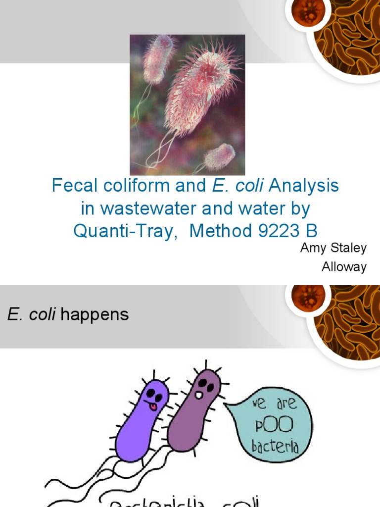 Fecal coliform and E.coli analysis by QuantiTray in ww and water presentation | PDF ...