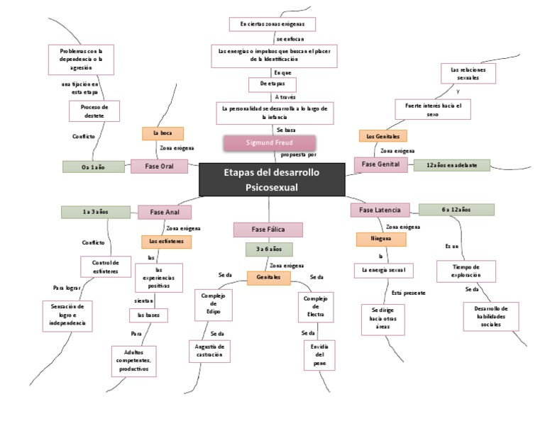 Mapa Mental de Las Etapas Psicosexuales de Freud | PDF | Sigmund Freud | Sicología