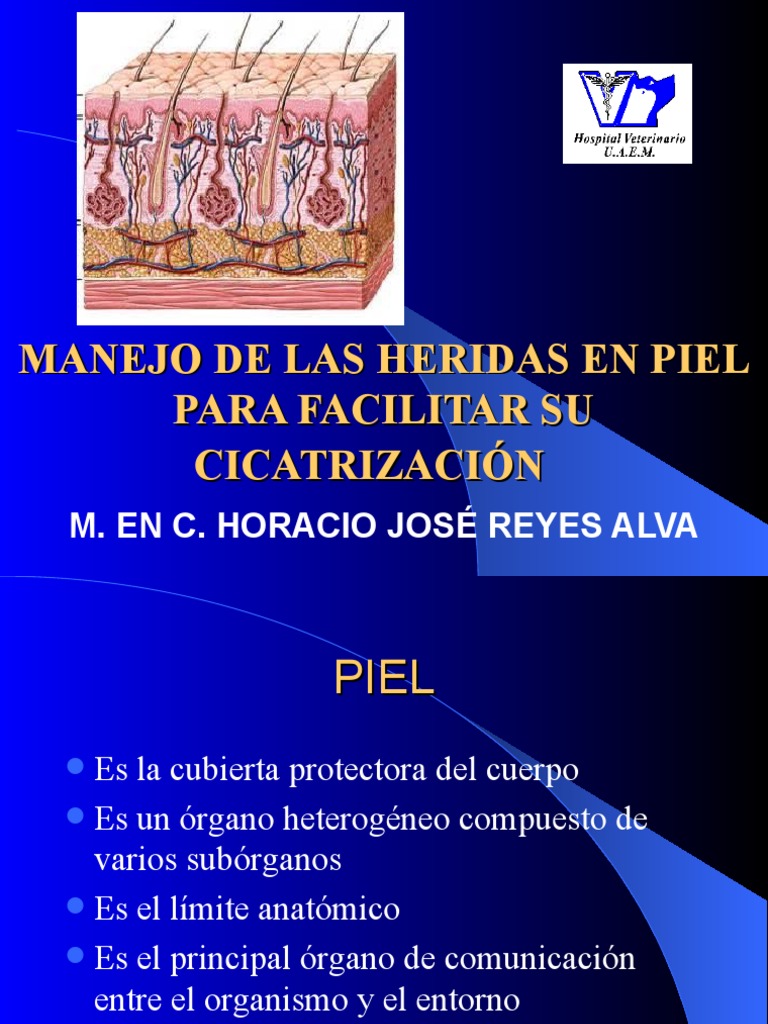 Morfo | PDF | Piel | Herida
