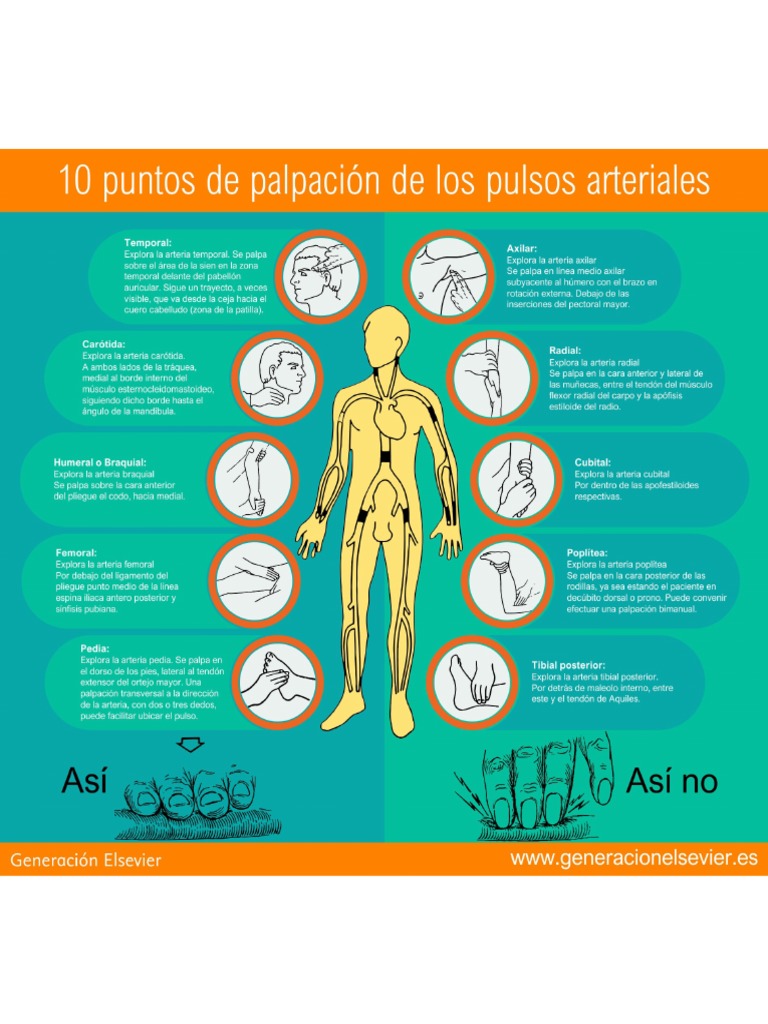 Diferentes Tipos de Pulso | PDF
