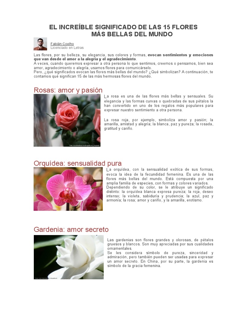 El Significado de Las 15 Flores | PDF | Flores | Amor
