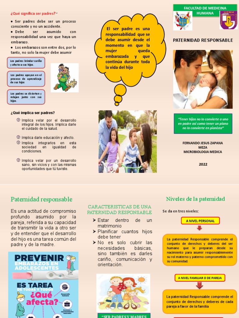 Triptico de Paternidad Responsable | PDF
