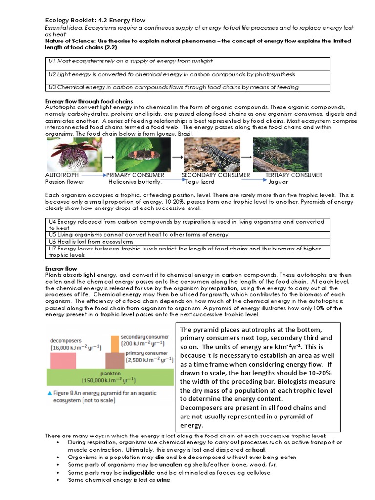 4.2 Booklet | Download Free PDF | Food Web | Ecosystem