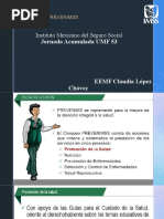Instructivo de Llenado Rais Resumen | PDF | El embarazo | Hipertensión