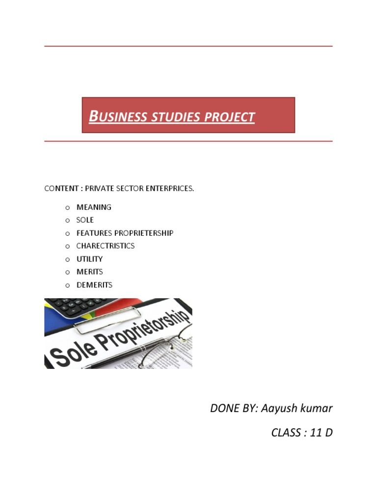 Business Studies Project Aayush Pdf The Coca Cola Company Sole