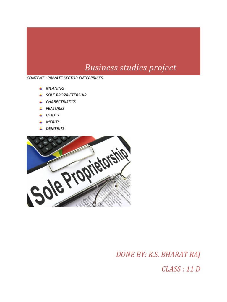 Sole Proprietorship Project Overview | PDF | Sole Proprietorship ...