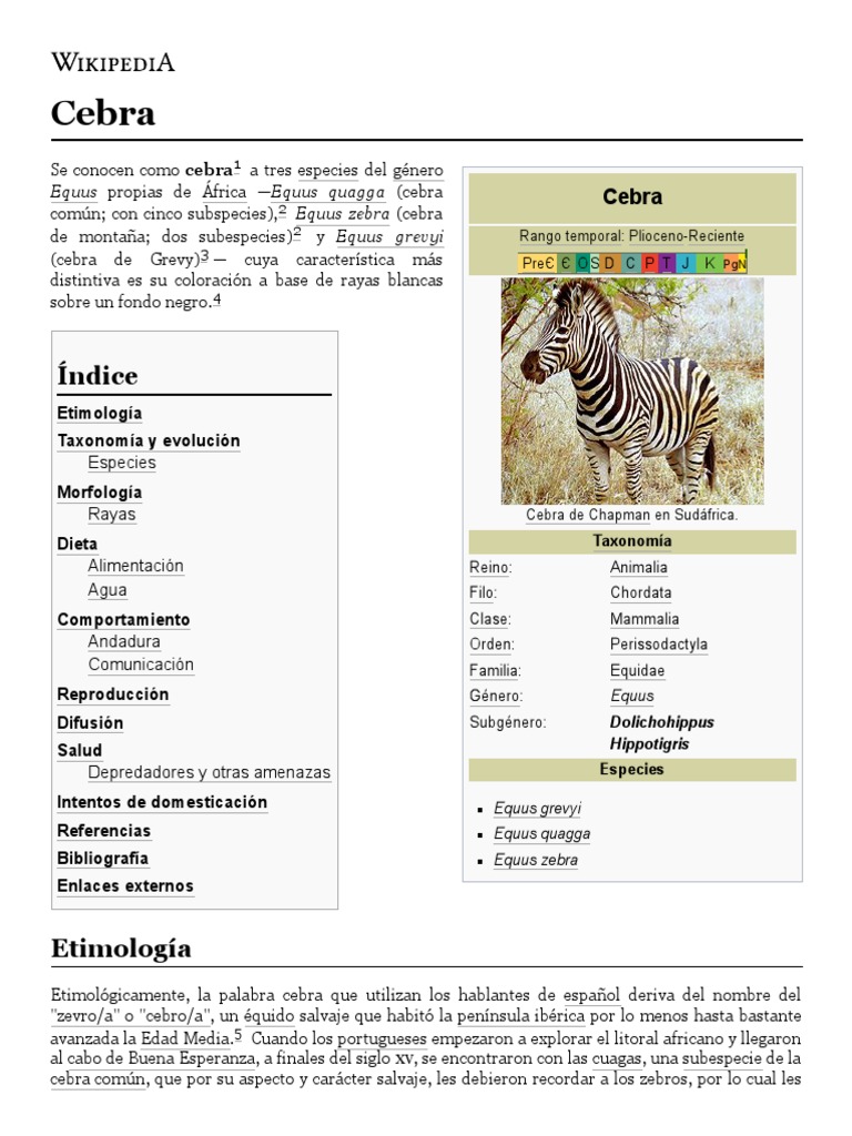 4 Cebra | PDF | Cebra | Caballos