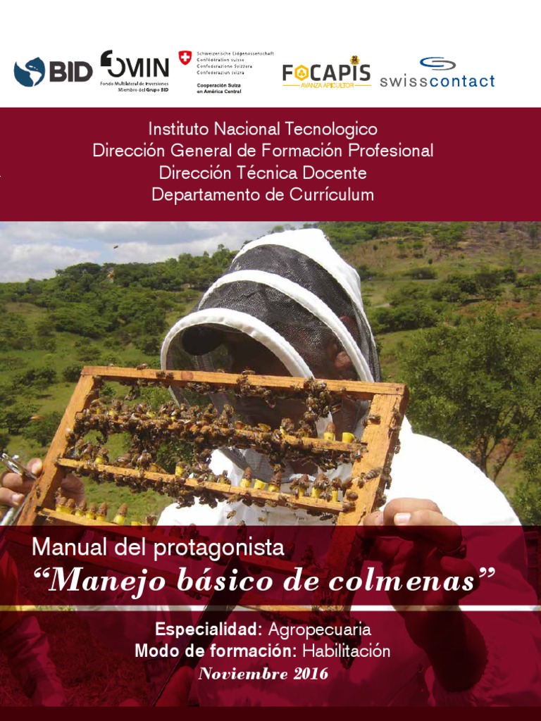 Manejo Básico de Colmenas | PDF | Western Honey Bee | Colmena