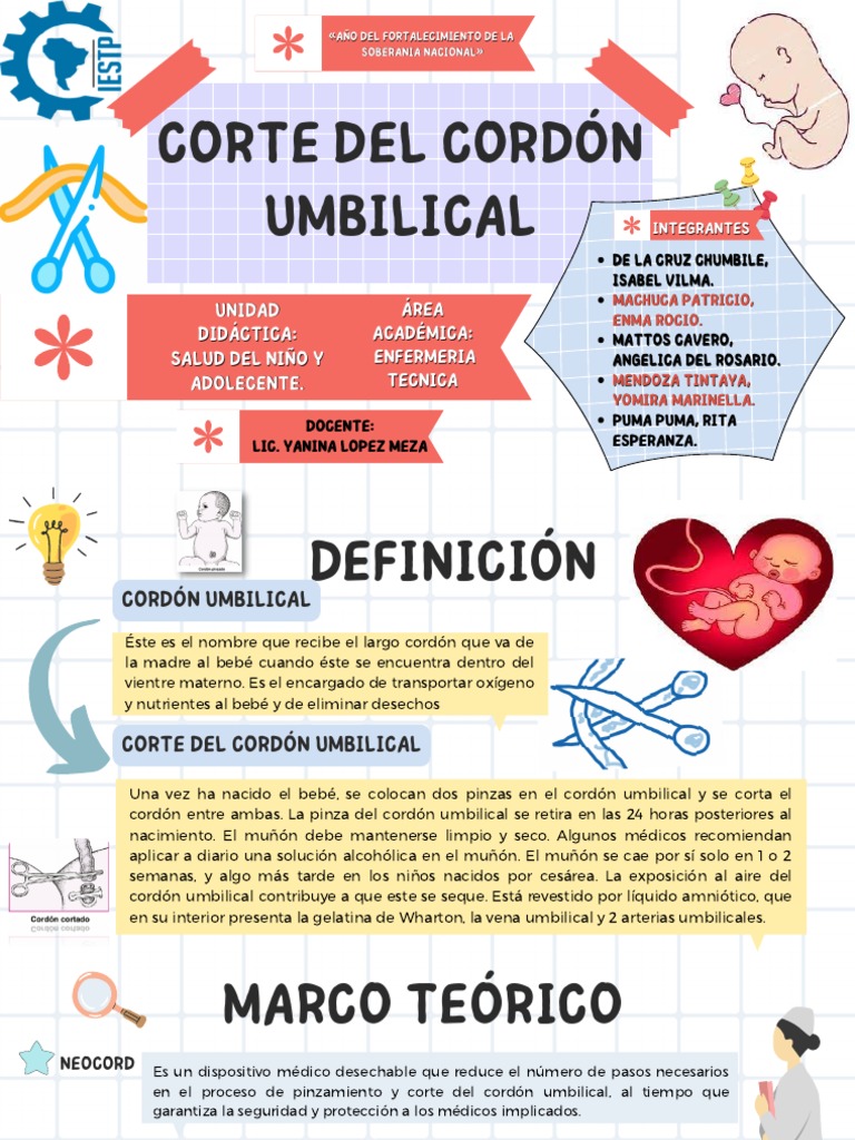 Corte Del Cordón Umbilical | PDF | Placenta | Parto