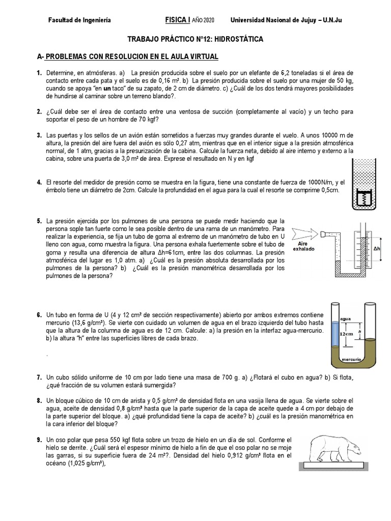Trabajo Práctico N°12. Hidrostática | PDF | Presión | Agua