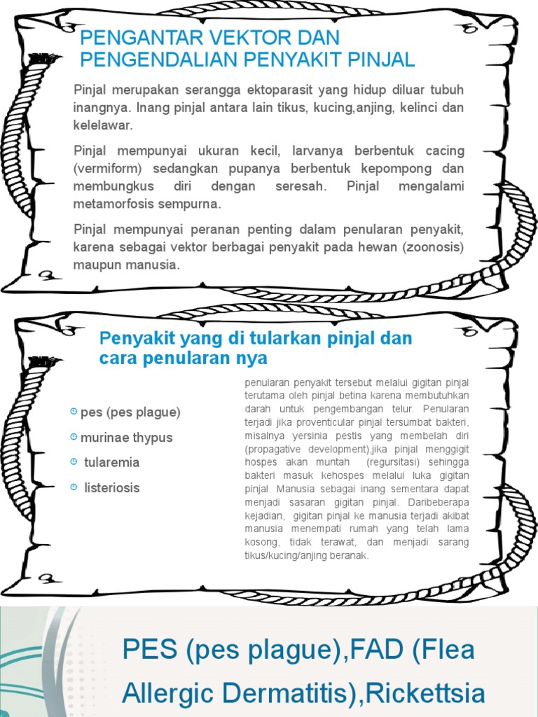 Pinjal | PDF | Ilmu Sosial | Griya & Taman