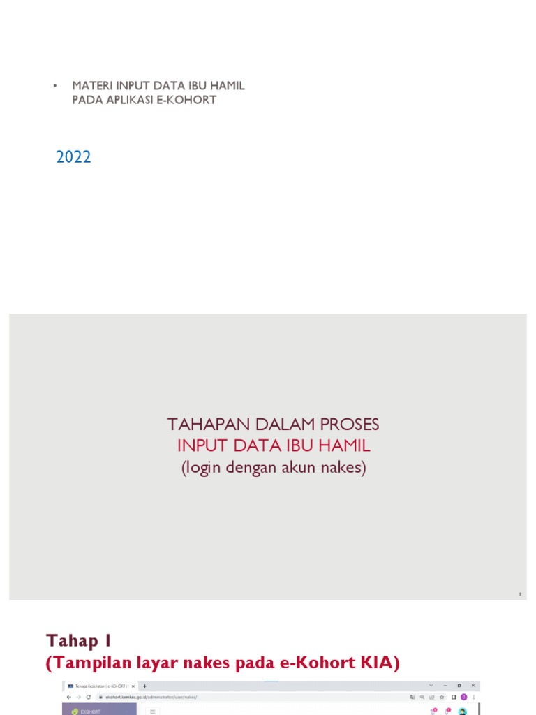 Input Data Ibu Hamil 2022 | PDF