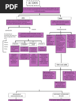Mapa Conceptual Adn y Arn | PDF | Rna | Adn