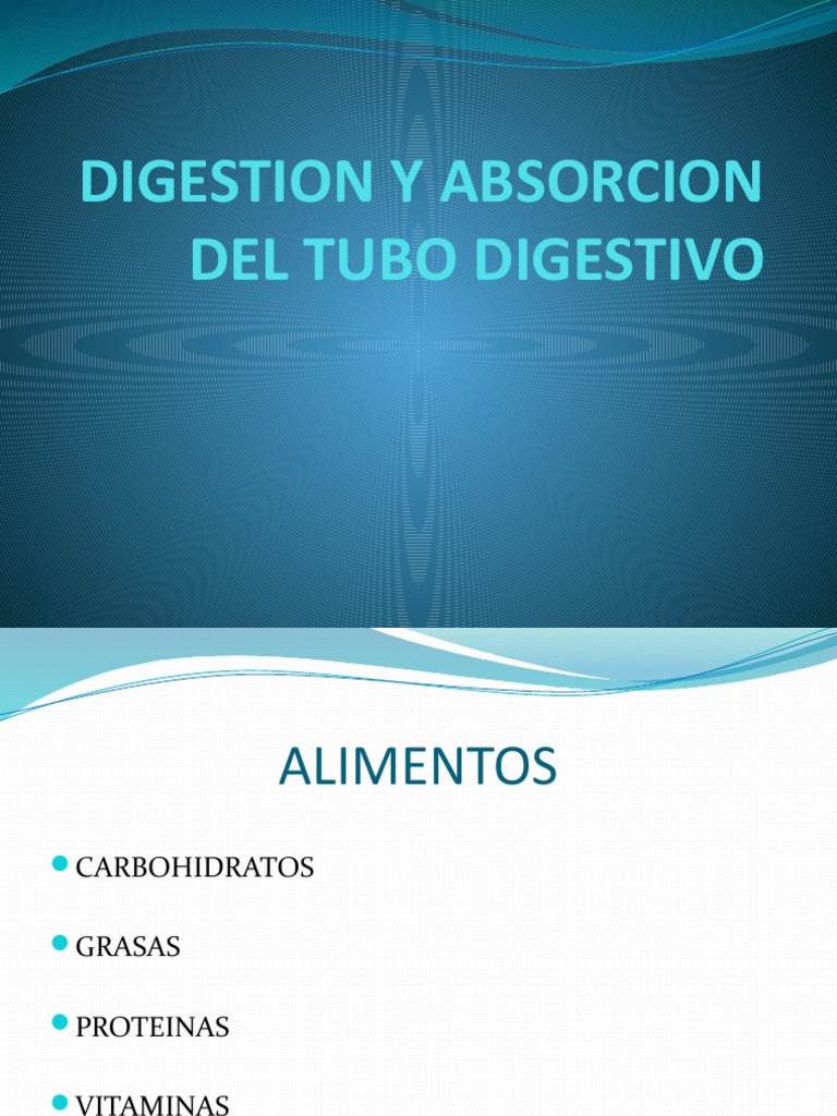 Digestion y Absorcion de L Tubo Digestivo | PDF | Digestión | Sistema ...