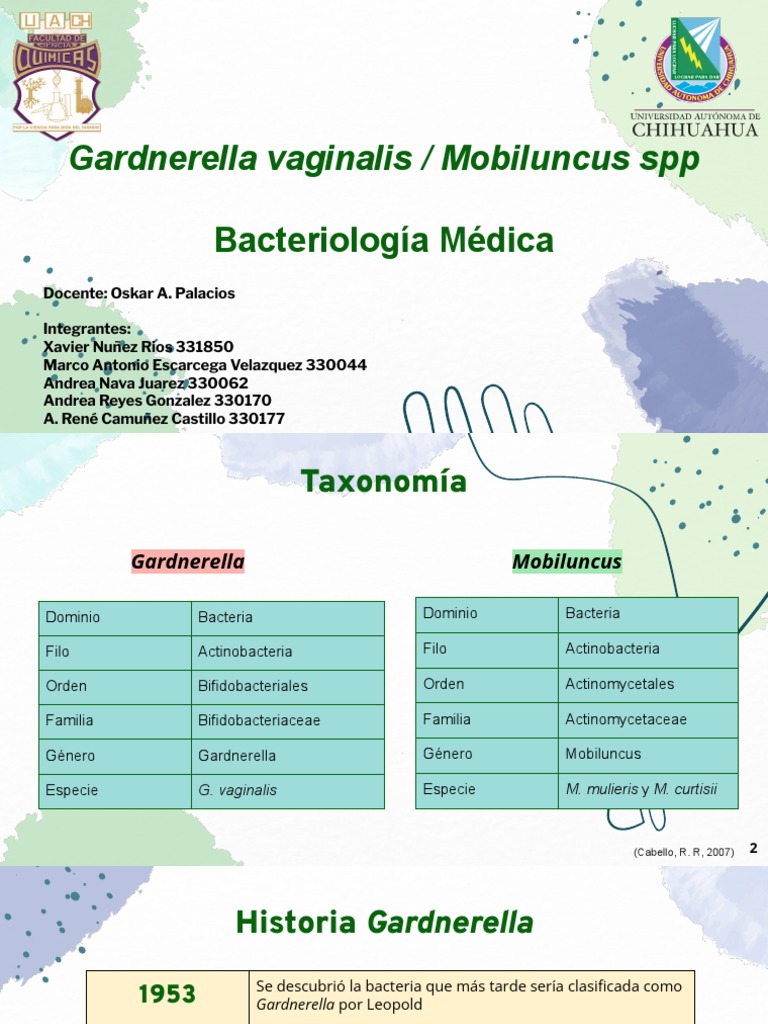 Gardnerella y Mobiluncus en Vaginosis | PDF | Las bacterias | Ciencias de la Salud