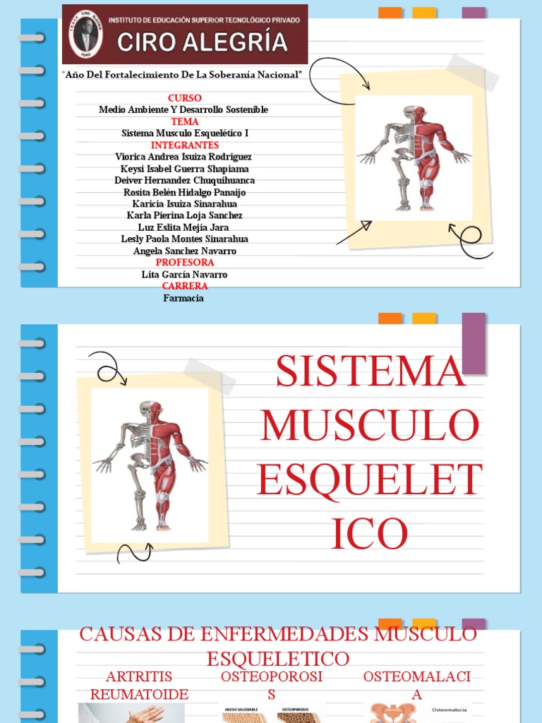 Sistema Musculo Esquelético I | PDF | Articulación | Sistema musculoesquelético
