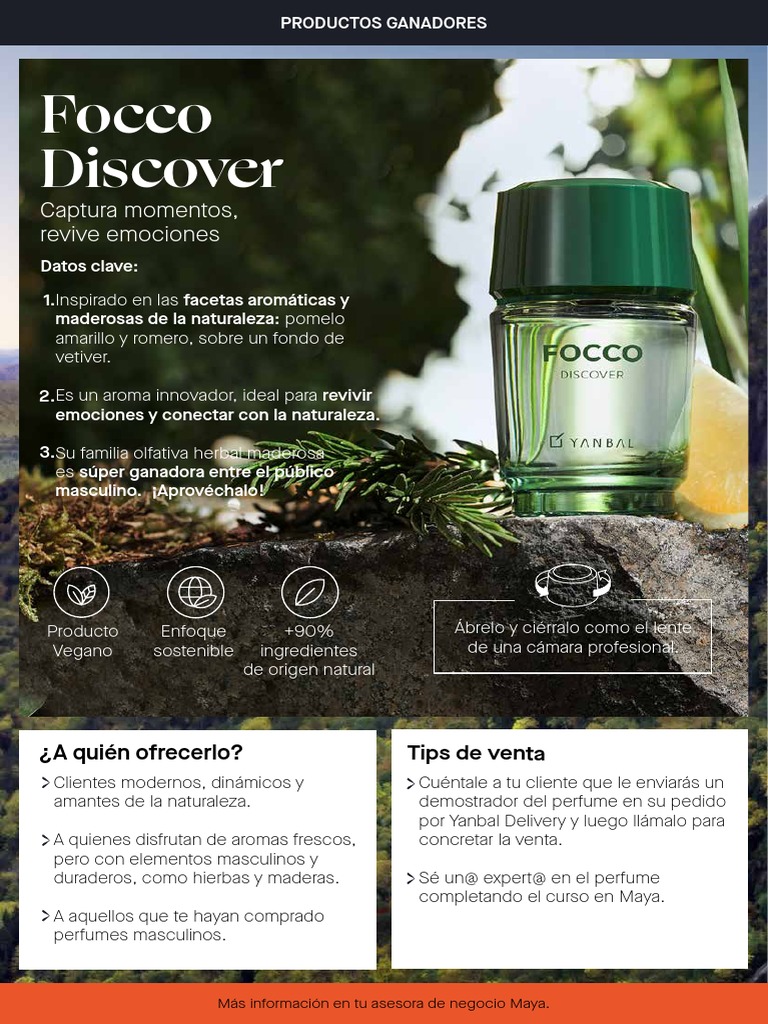 Focco Discover - Cartilla Resumen | PDF