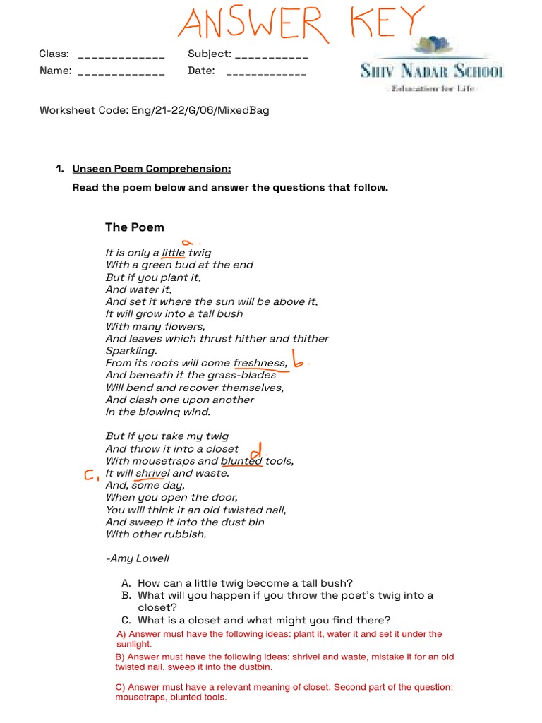 16 Answer Key - Grade 6 - Revision Worksheet | PDF | Linguistics