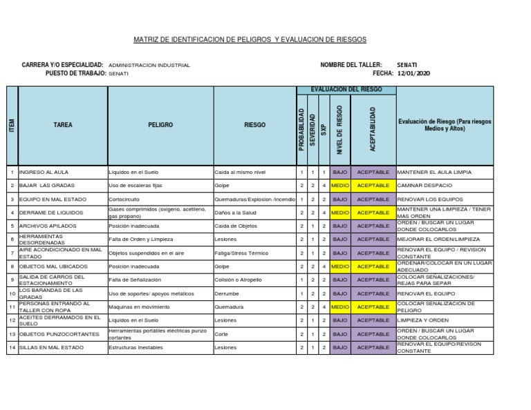 Matriz de Identificacion de Peligros Y Evaluacion de Riesgos | Descargar gratis PDF | Naturaleza