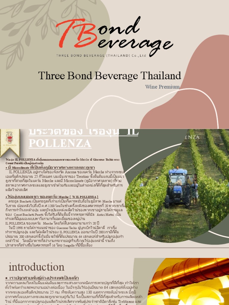 Presentation Wine Product Threebond Beverage (Thai) | PDF