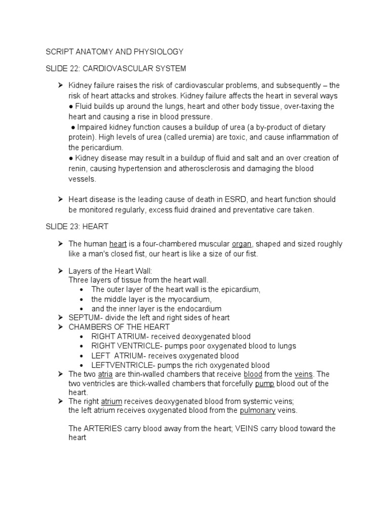 Script Anatomy and Physiology | PDF | Kidney | Heart