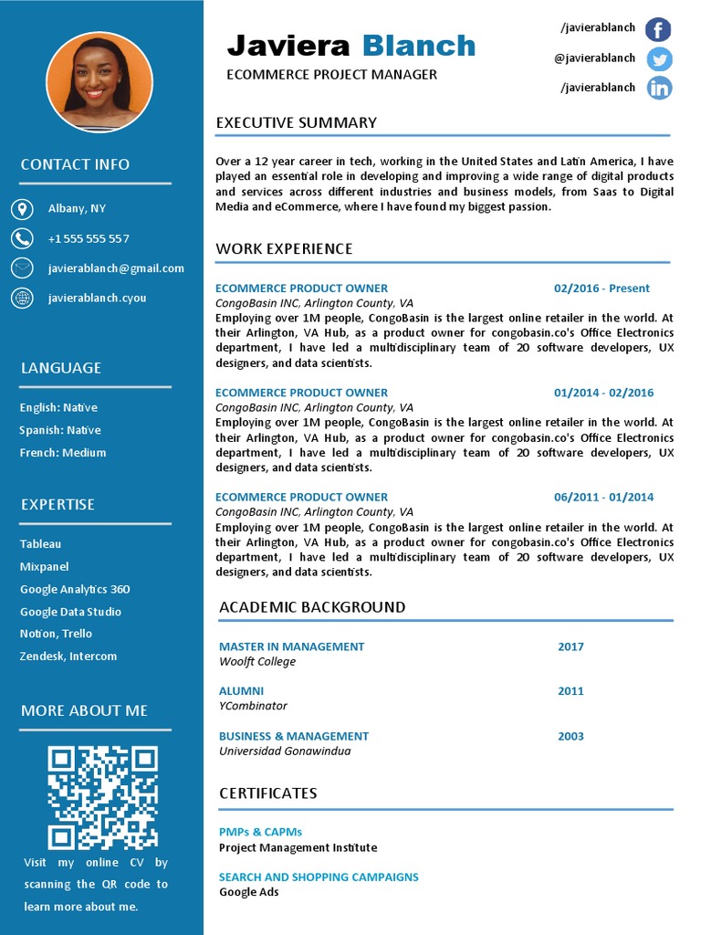 Free CV Template 14 | PDF | E Commerce | Computing