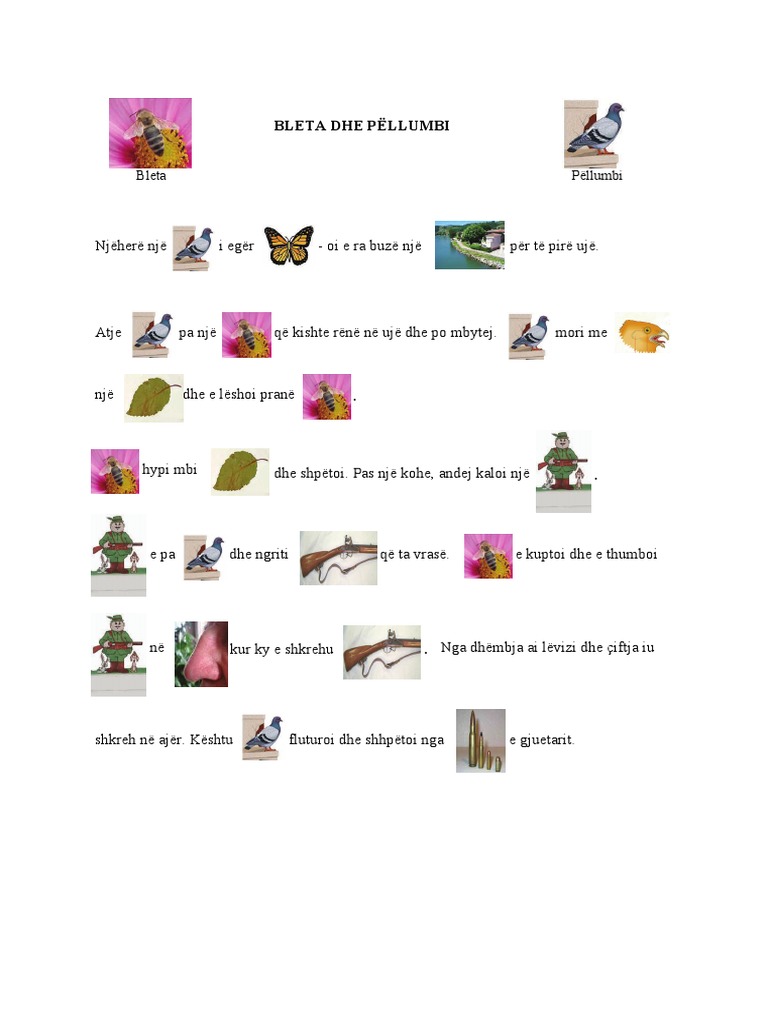 Bleta Dhe Pellumbi | PDF