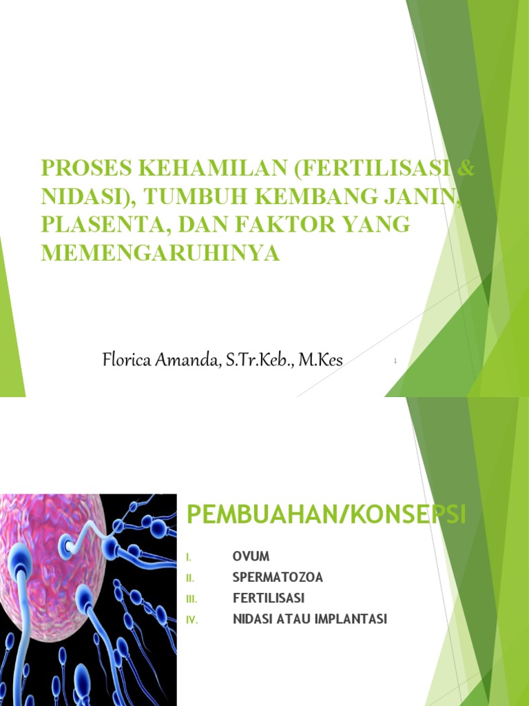 Fertilisasi Dan Nidasi | PDF | Griya & Taman | Kesehatan Holistik