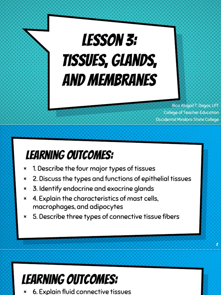 C. Topic 1 - Types of Tissues (EPITHELIAL TISSUE) | PDF | Epithelium ...