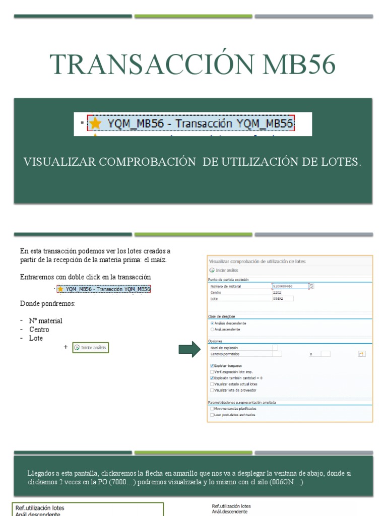Guía Uso Transacción MB56 | PDF | Finanzas y dinero