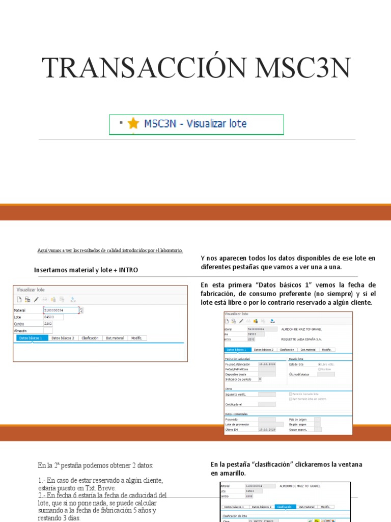 Guía Uso Transacción Msc3n | PDF