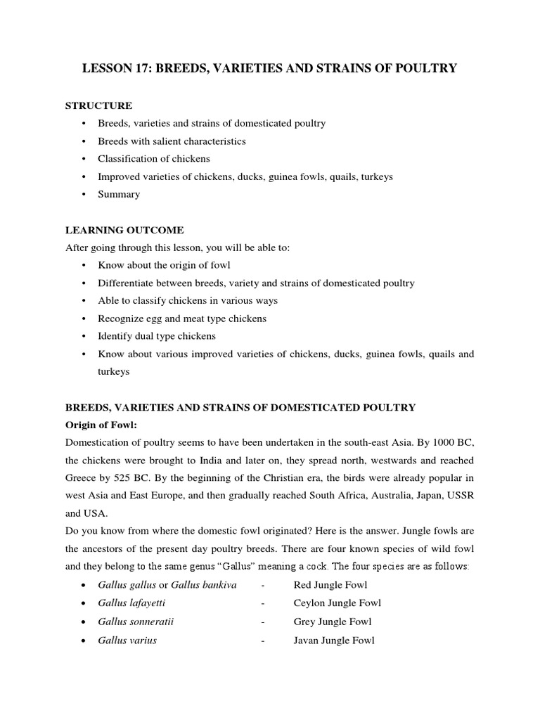 Breeds, Varieties and Strains of Poultry | PDF | Chicken | Poultry