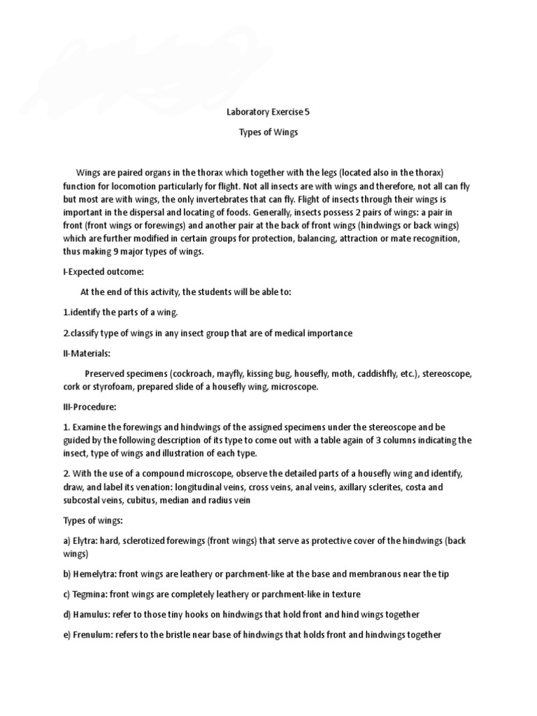 Types of Insect Wings Explained | PDF | Zoology | Organisms