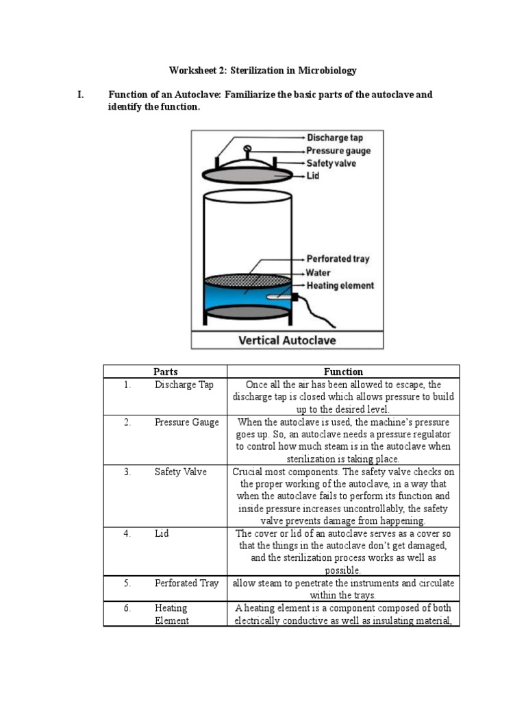 Sterilization in Microbiology Worksheet | PDF | Sterilization ...