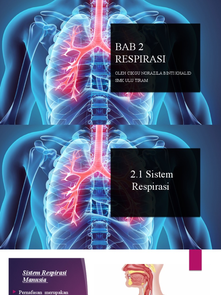 SET A SC T3 Bab 2 Zila Khalid ) | PDF