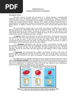 Osmosis Red Onion Cells | PDF | Osmosis | Biology