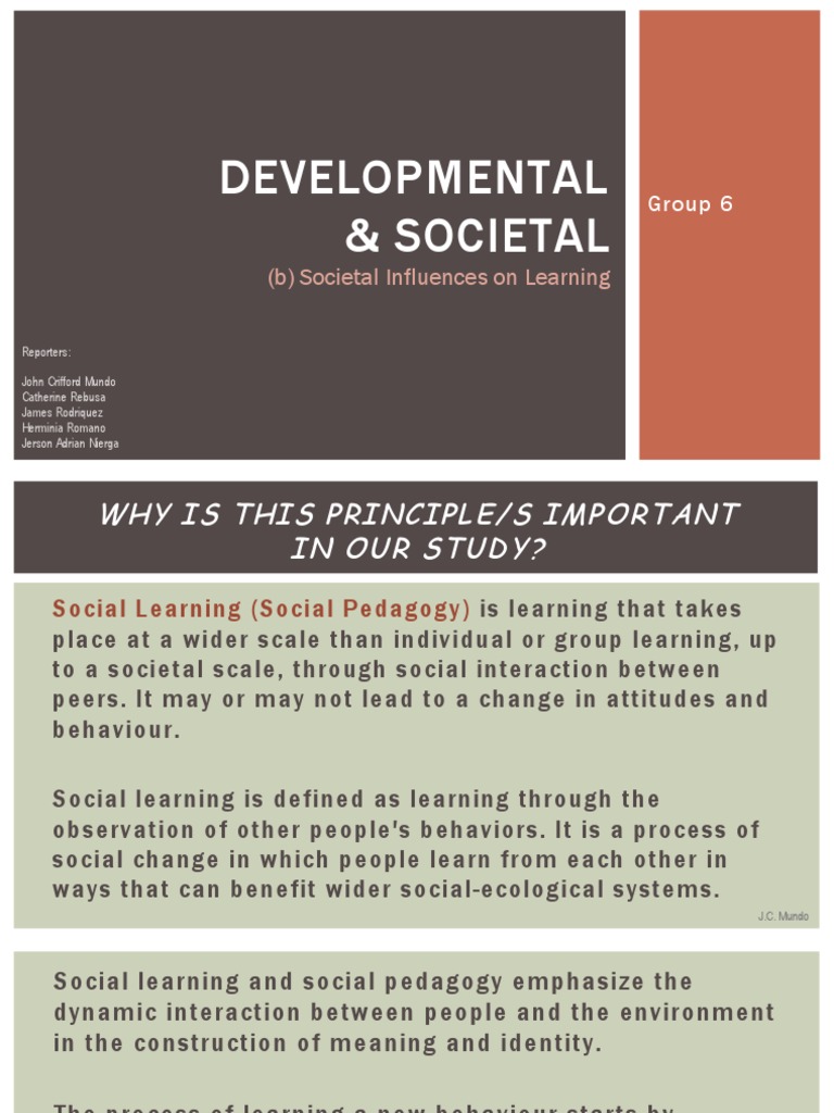 Societal Influences on Learning Dynamics | PDF | Learning | Psychology