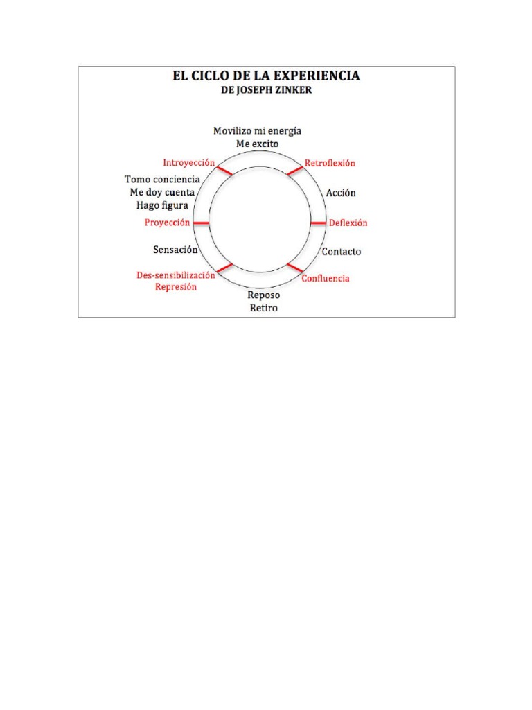 Ciclo de La Experiencia Zinker | PDF