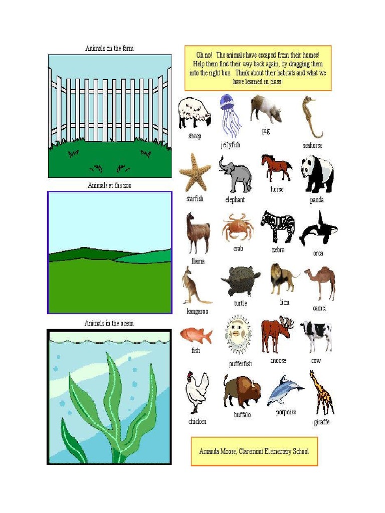 Animal's Habitat Exercise | PDF