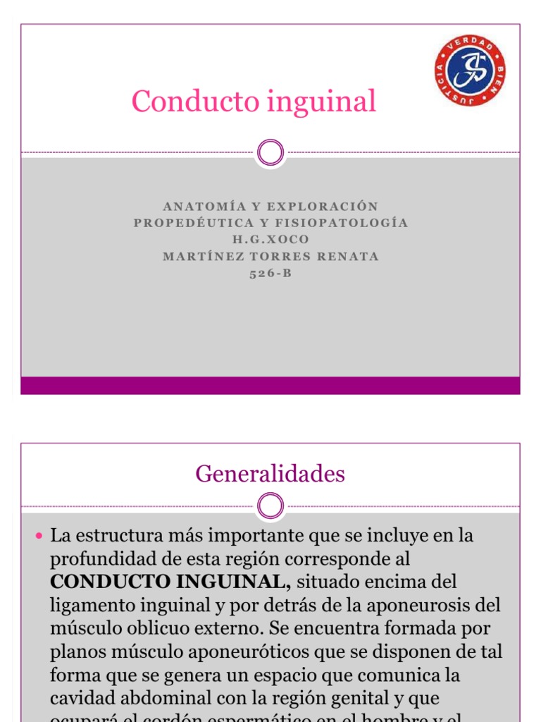 Conducto Inguinal | Descargar gratis PDF | Abdomen | Anatomía humana