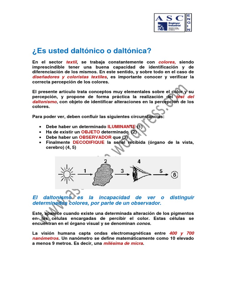 Daltonismo y Percepción | PDF | Color | Percepción visual