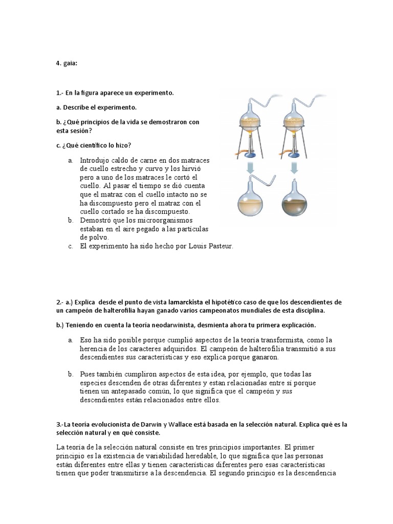 Roberto 4. Gaia Lanak | PDF | Evolución | Mutación