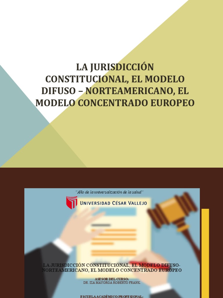La Jurisdiccion Constitucional Pdf Constitución Juez