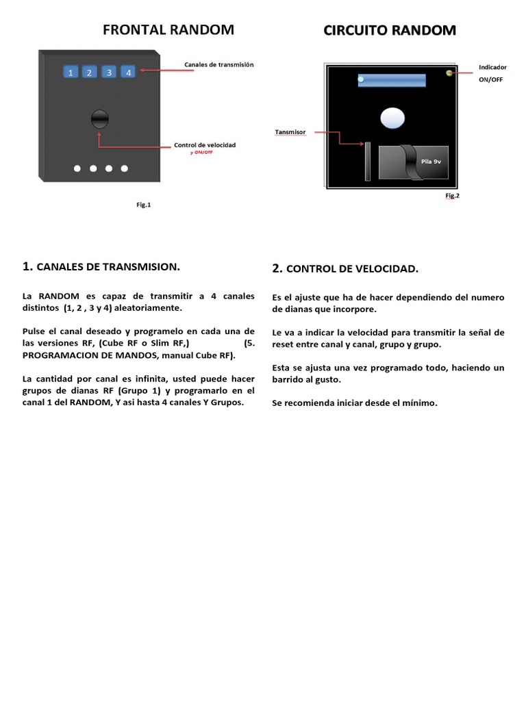 Manual Usuario Random Dic - 2019 | PDF