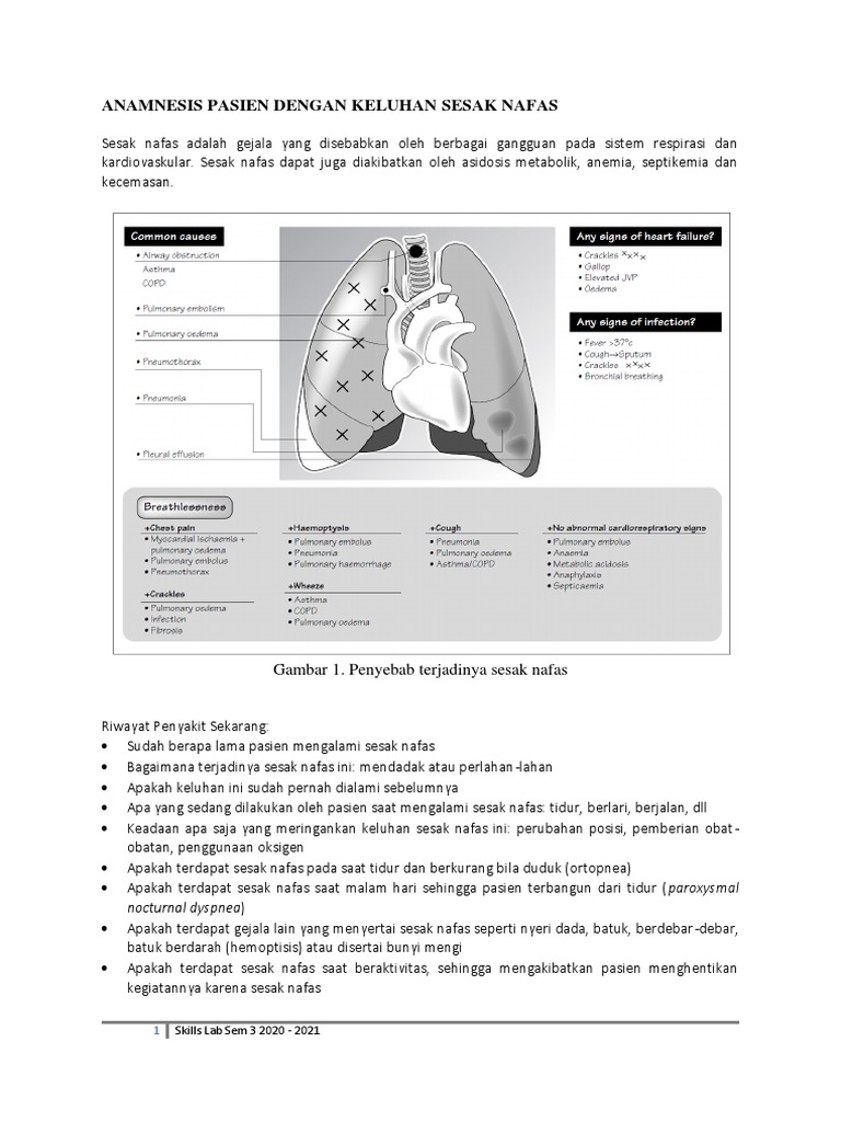 Anamnesis Sesak Nafas | PDF
