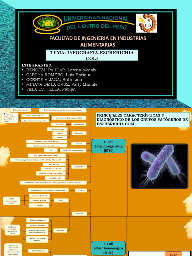 Infografia-Escherichia Coli | PDF