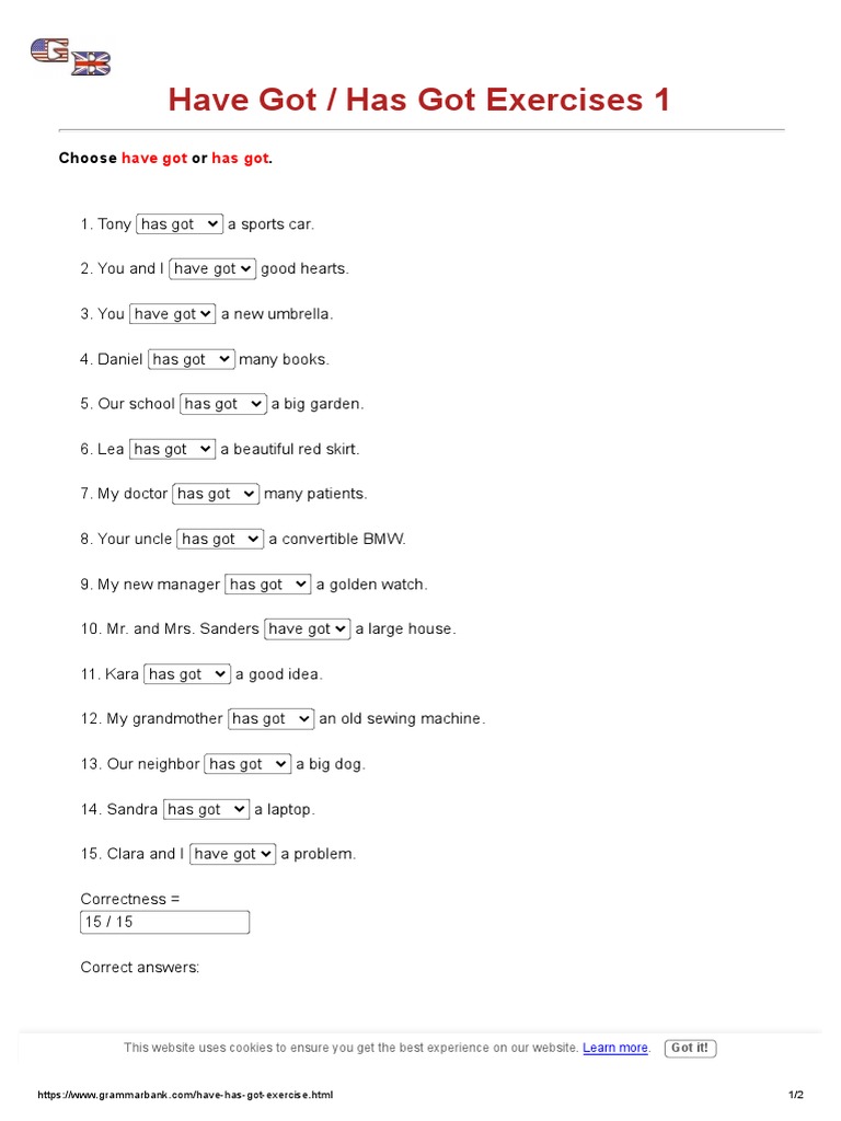 Have Got & Has Got Exercises - GrammarBank | PDF
